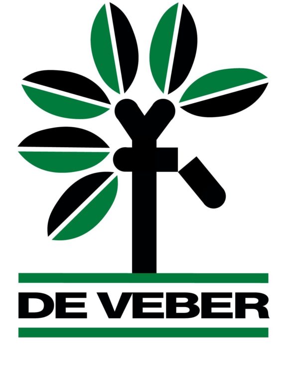 HI RES LOGO - deVeber Institute
